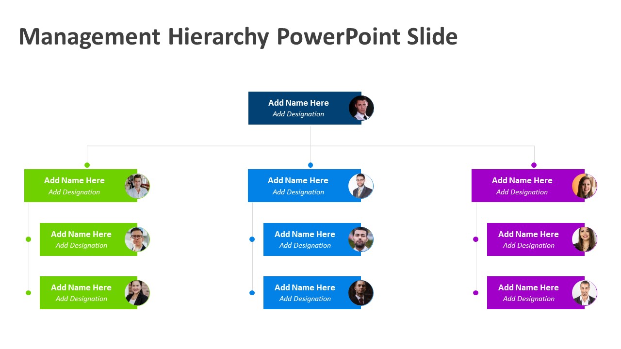 Management Hierarchy PowerPoint Slide | PPT Templates