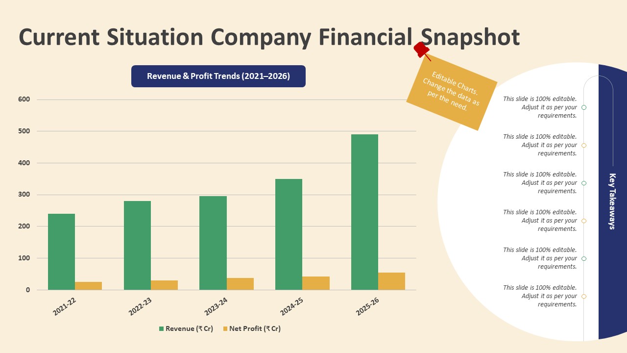 Current Situation Company Financial Snapshot PowerPoint Template